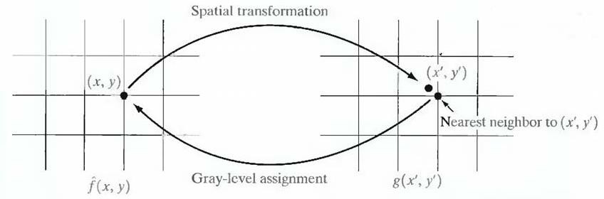 Explain about gray level interpolation. - Bench Partner